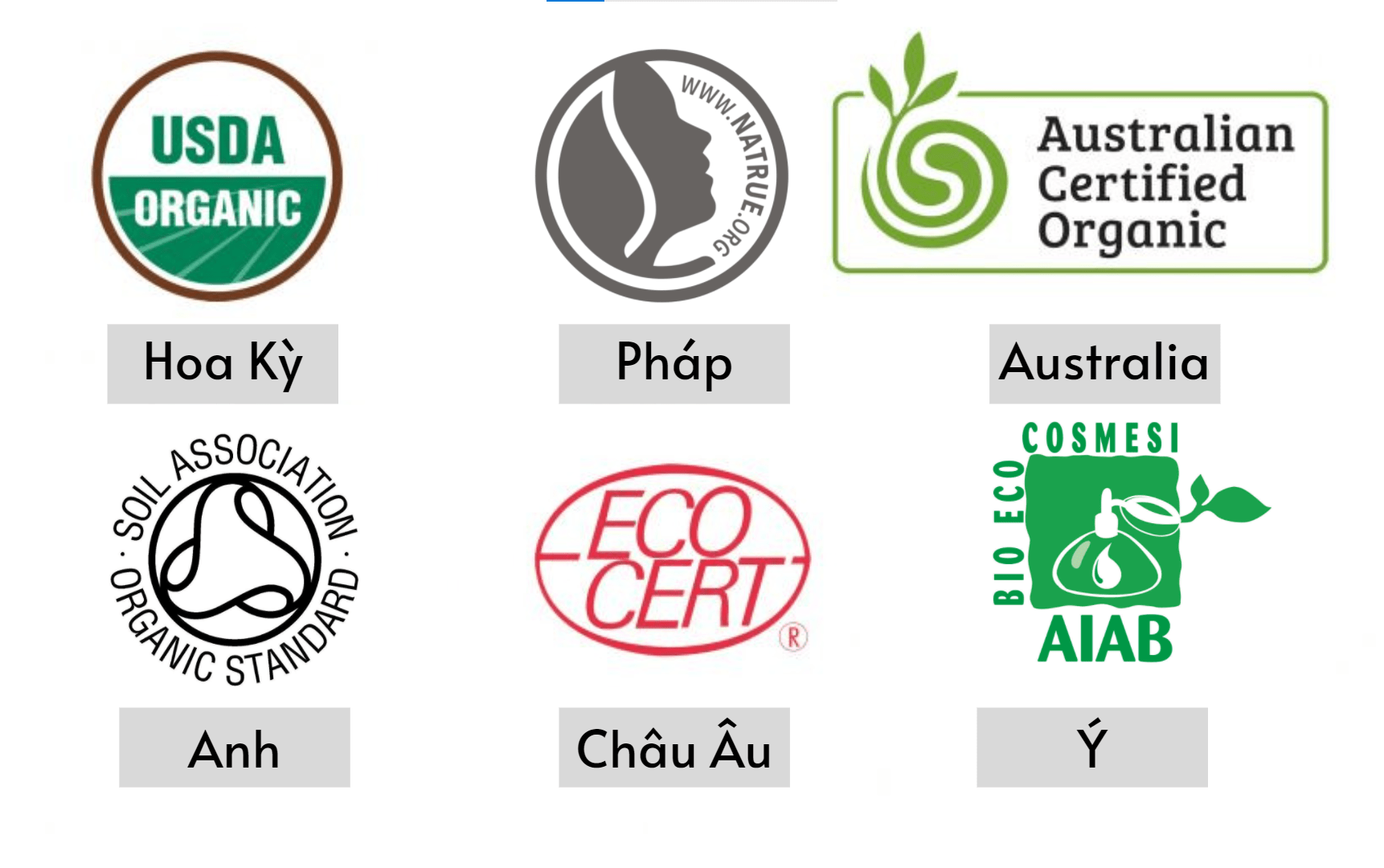 NHỮNG THÀNH PHẦN THƯỜNG GẶP TRONG MỸ PHẨM ORGANIC - Floreceorganics